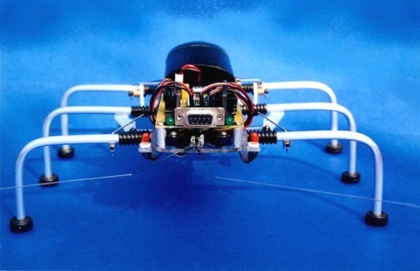 SIX-LEGGED BASIC STAMP2 SPIDER ROBOT PROJECT