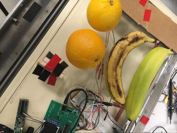 Arduino: BANANA SCAN - Fruit Detection and Analysis System