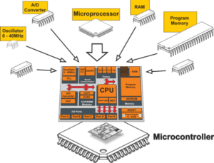 Microcontroller Basics: Architecture, Programming & Tools